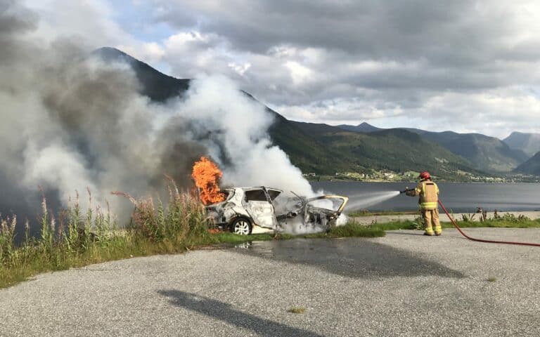 Norwegian EV market | Norwegian EV association | NEVA