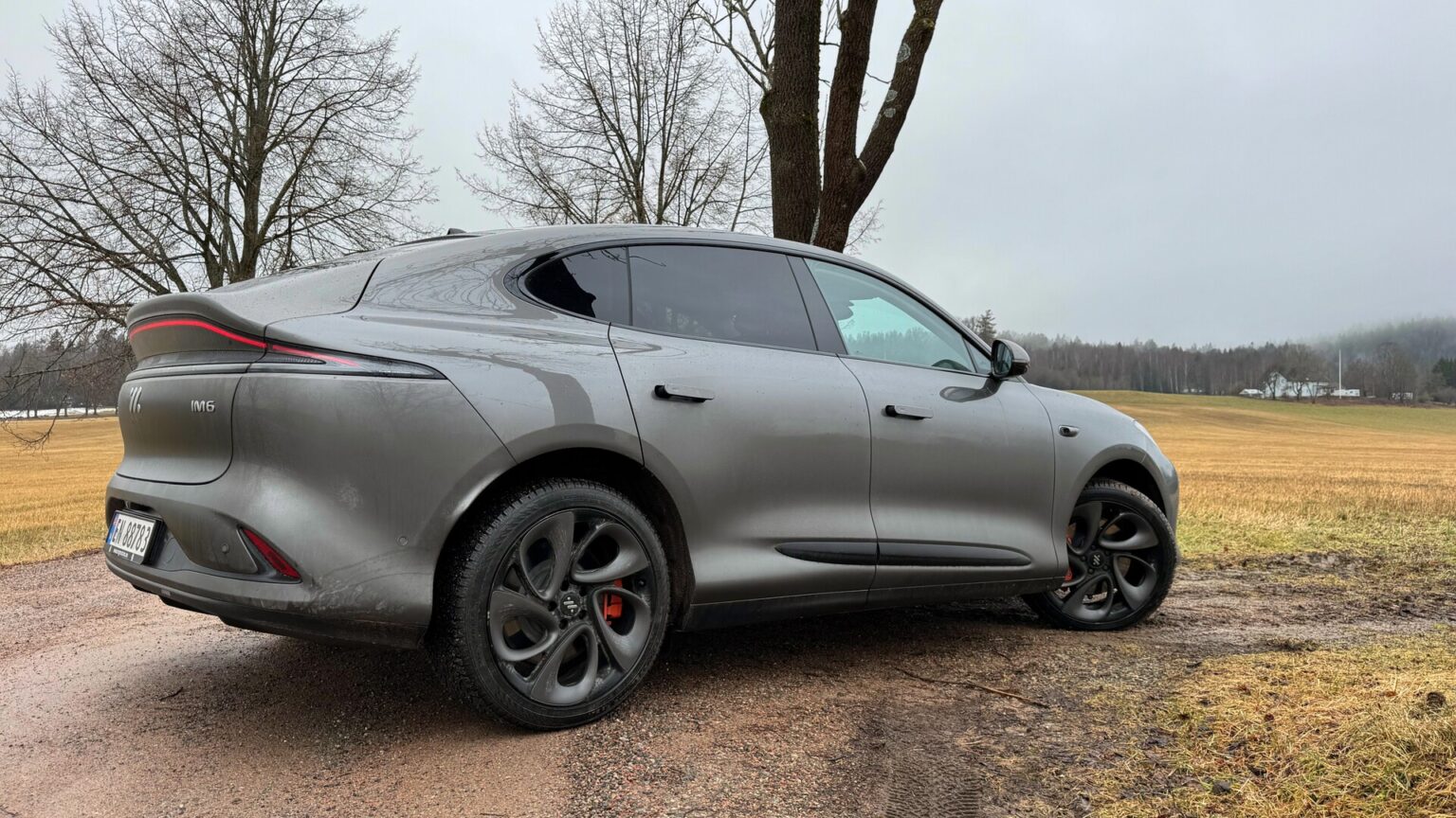 Det koster å være car - Norsk elbilforening